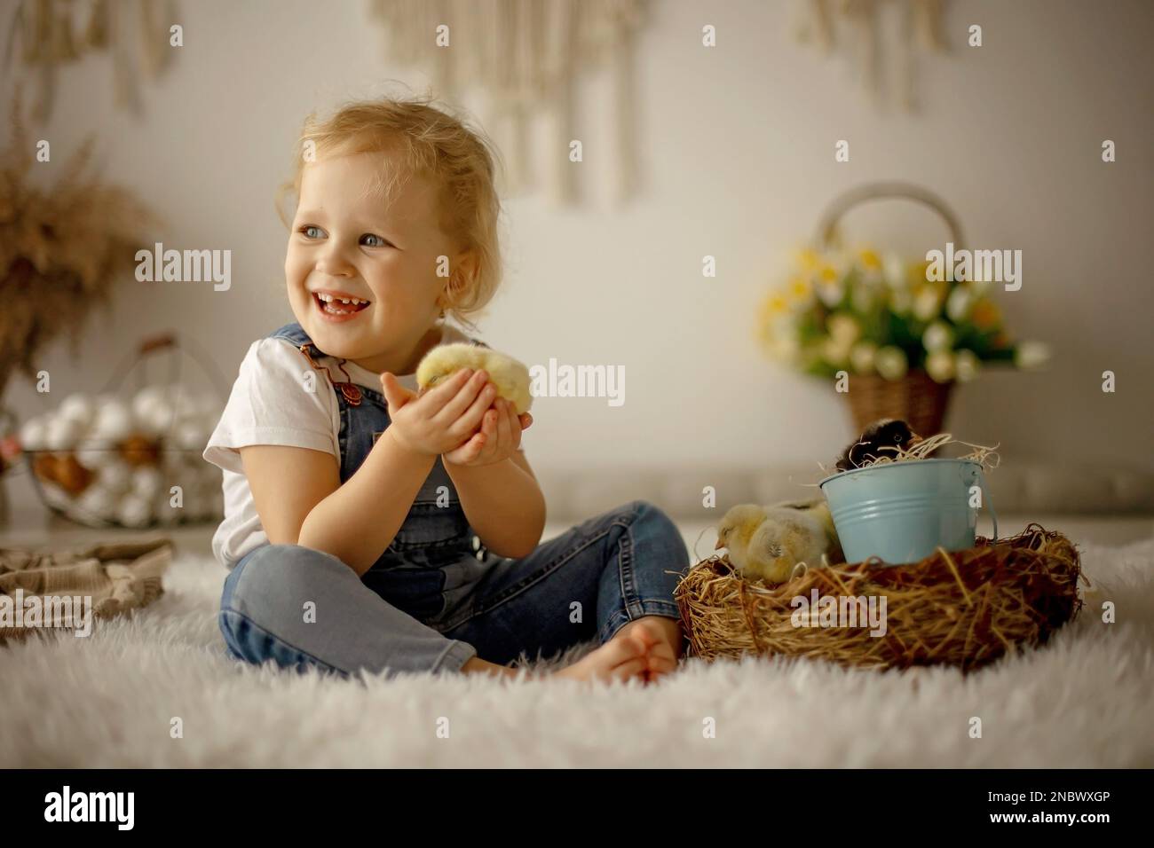 Cute child at home with little newborn chicks, enjoying, cute kid and ...