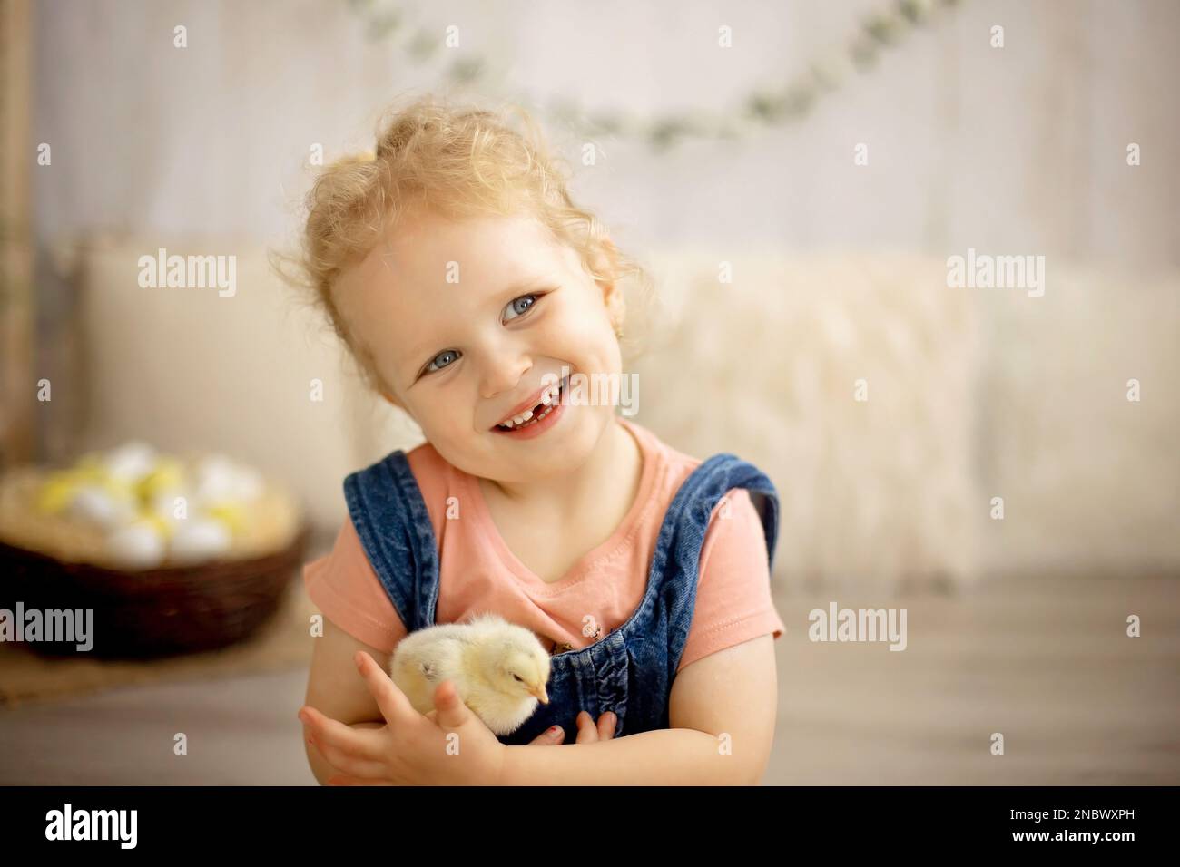 Cute child at home with little newborn chicks, enjoying, cute kid and ...