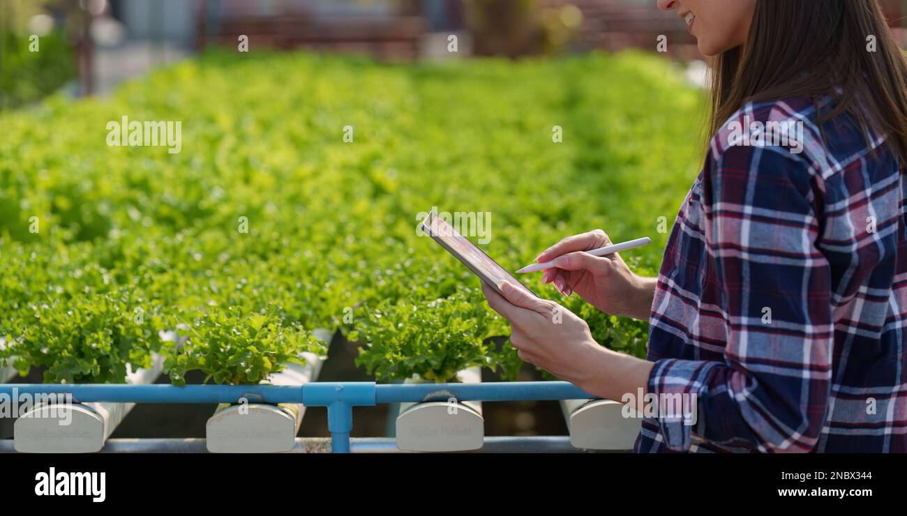 Portrait of farm owner smiling. Asian male business working at organic ...