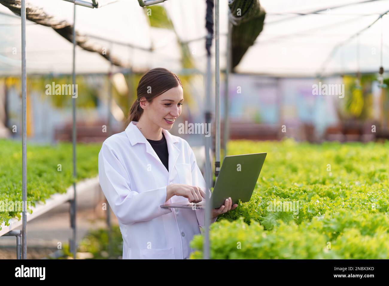 Science team working and researching in hydro and organic farm. Quality ...