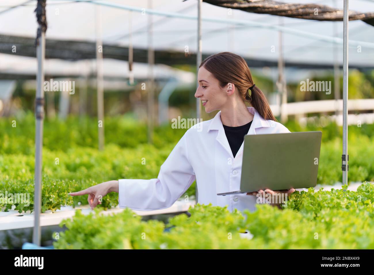 Science team working and researching in hydro and organic farm. Quality ...