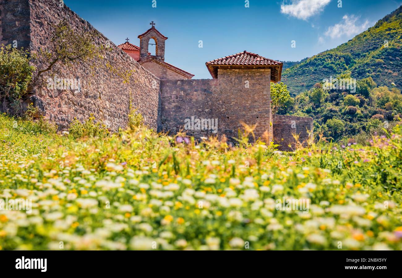 Abandoned St. Mary Monastery among fresh green flowers. Impressive ...