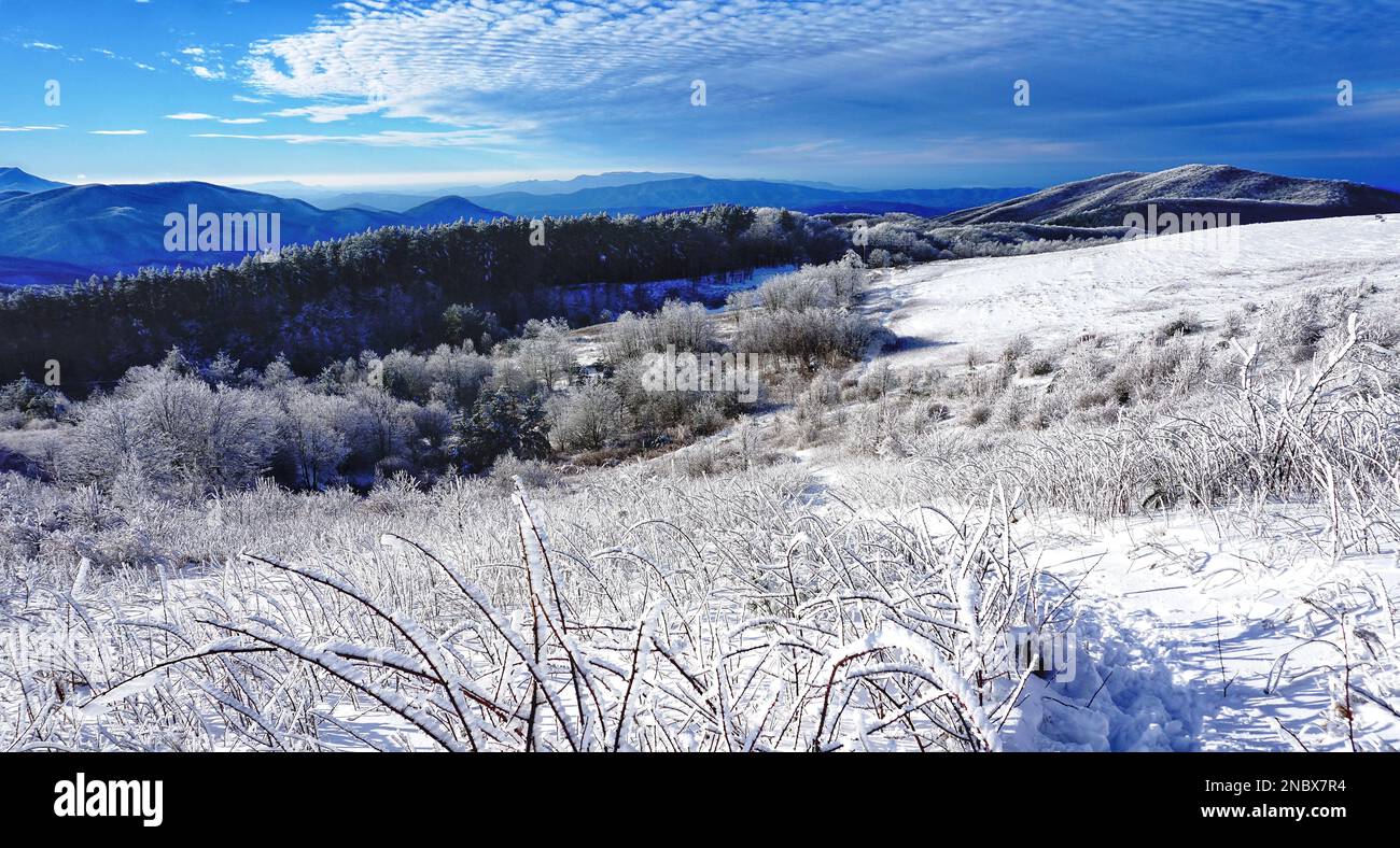 Spectacular view at Max Patch, North Carolina and Tennessee. Asheville ...