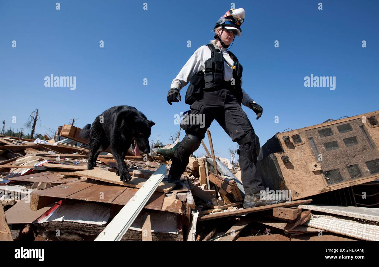 K9 Search and Rescue Specialists Inc.'s Tracy Sargent works with her ...
