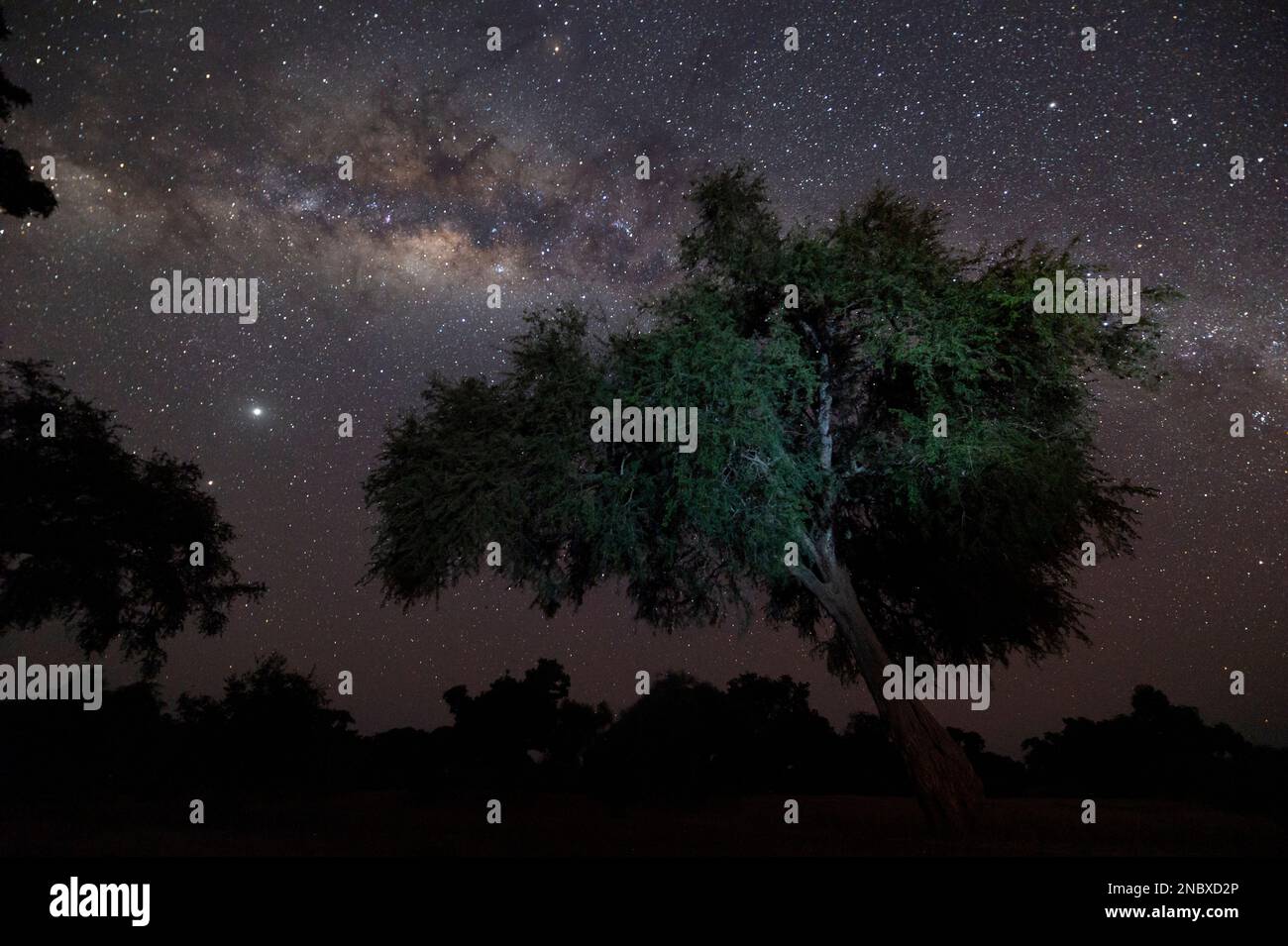 The Milky Way seen in Zimbabwe's Mana Pools National Park Stock Photo ...