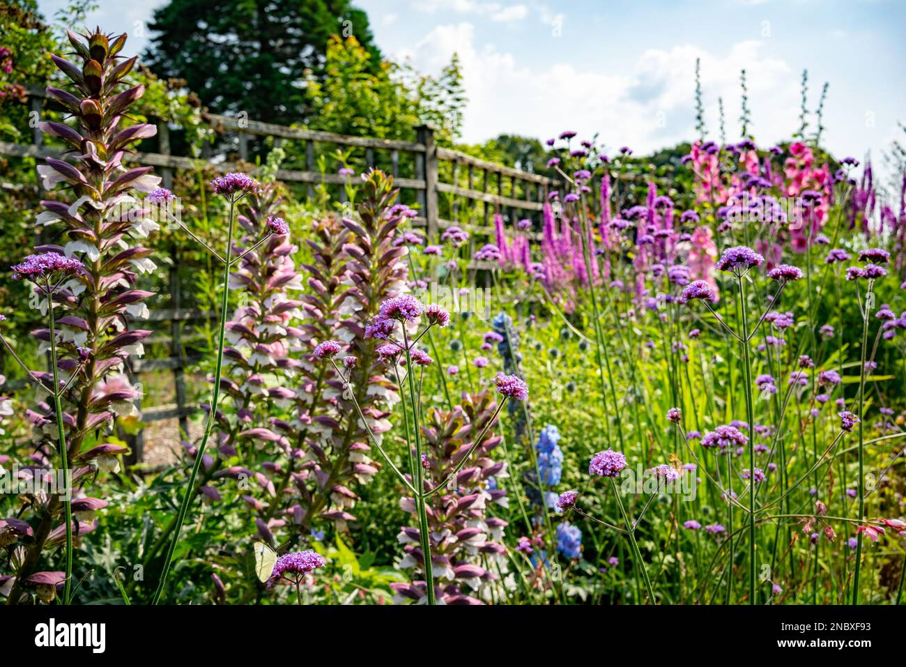 Peggy Davies' garden at Five Oaks in West Sussex, England, UK Stock ...