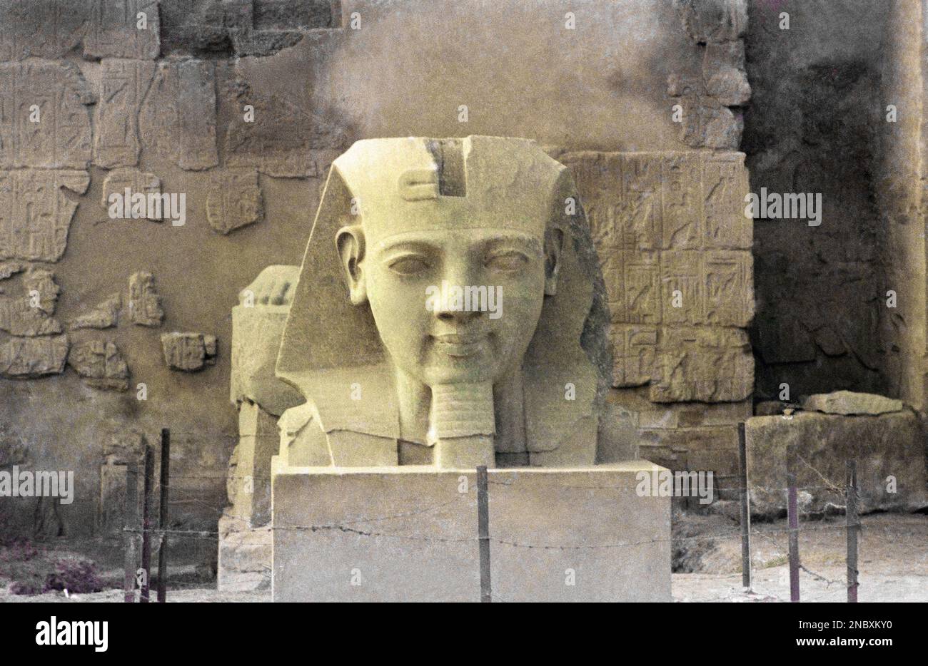 Egyptian monuments and giant statues being rescued in response to the ...