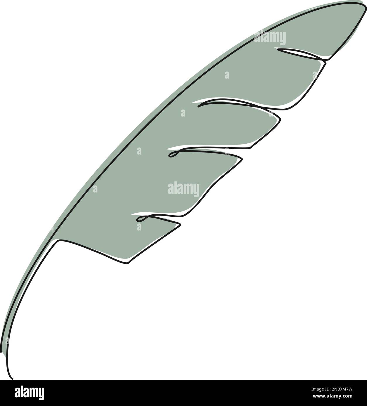 colored single line drawing of tropical leaf, line art vector ...