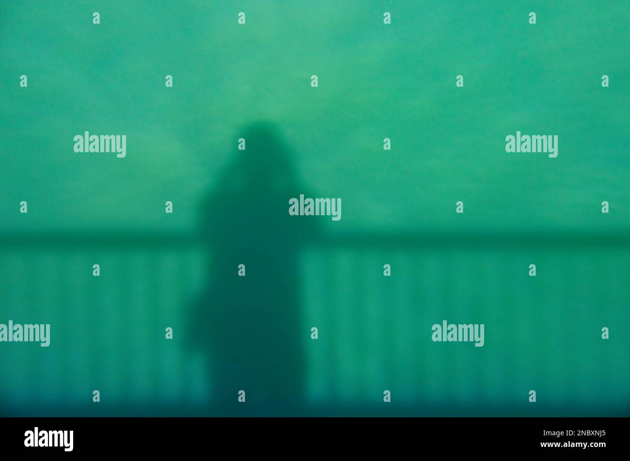 The shadow of the photographer and the bridge railing, against which ...