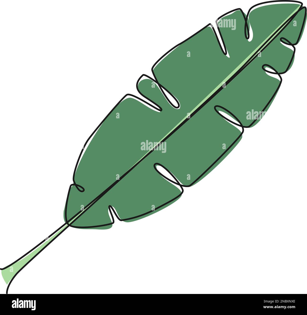 colored single line drawing of tropical leaf, line art vector ...