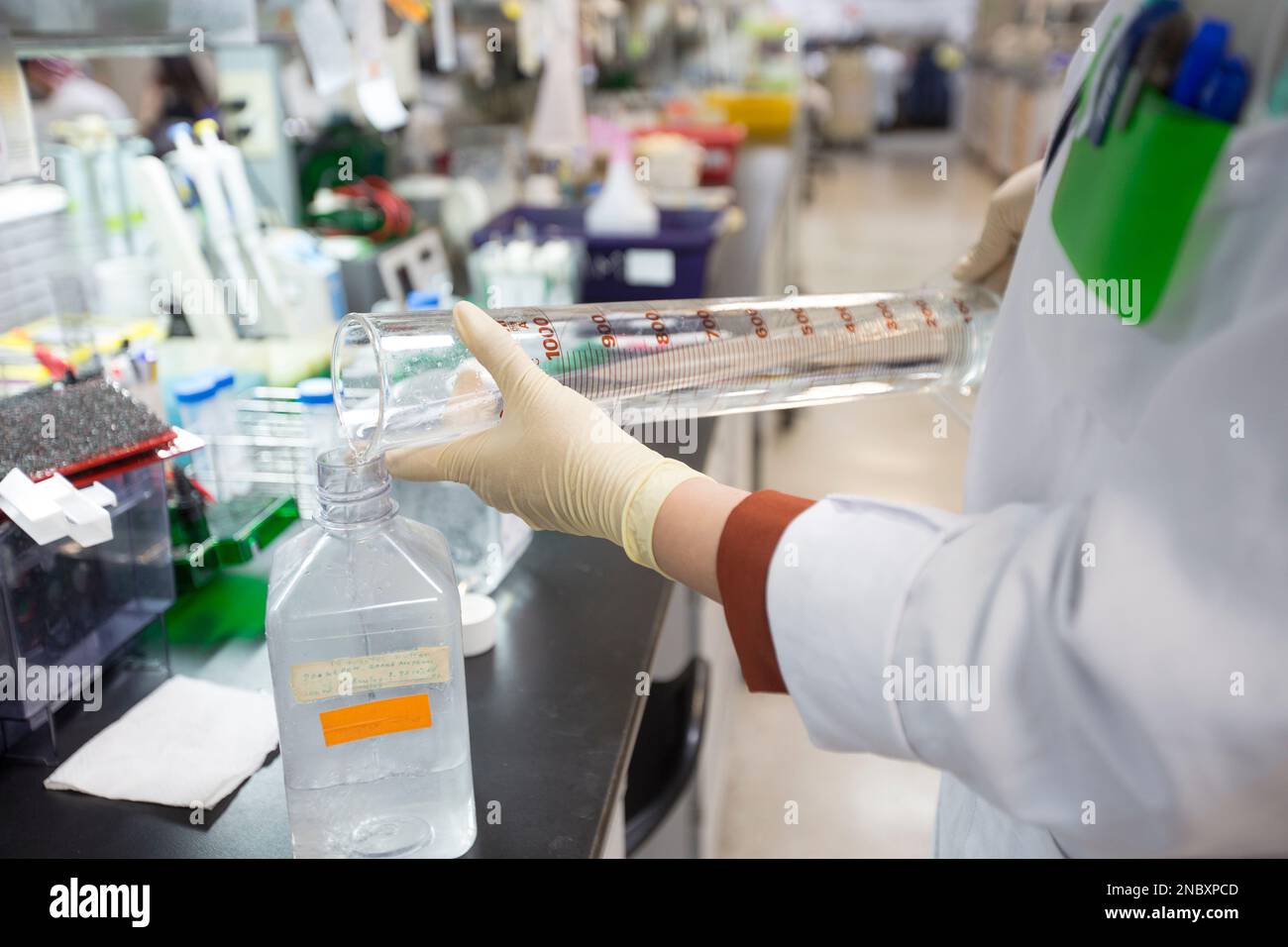 Western Blot Analysis Use As Protein Analysis For Protein Detection
