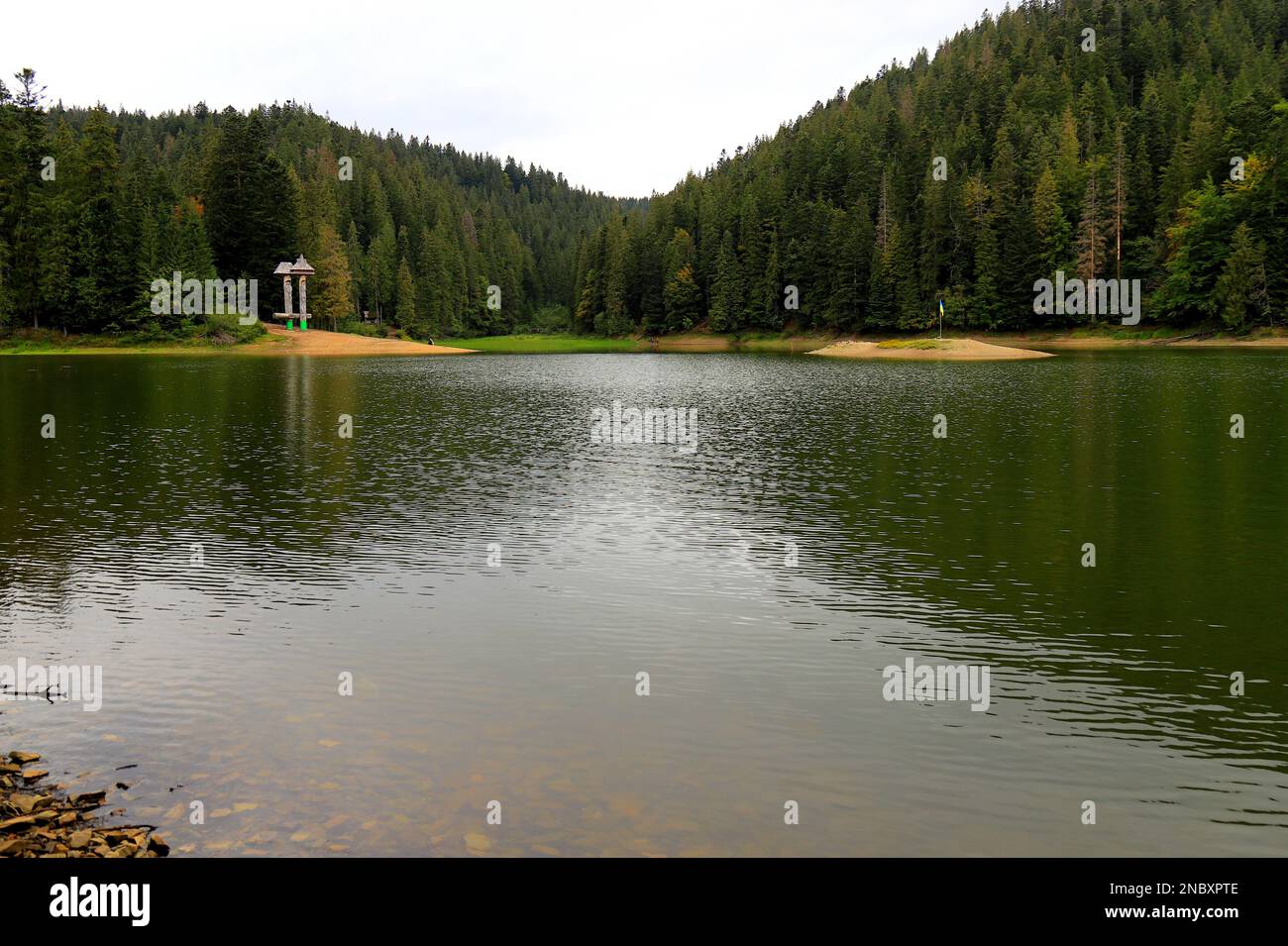 Beautiful Alpine Lake Synevyr is located among Carpathians mountains ...