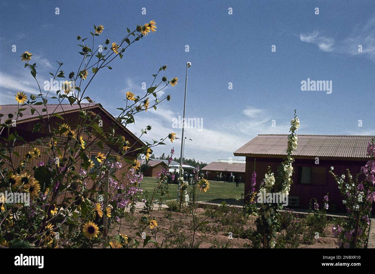 View of the agricultural experimental station of Kufra in the middle of ...