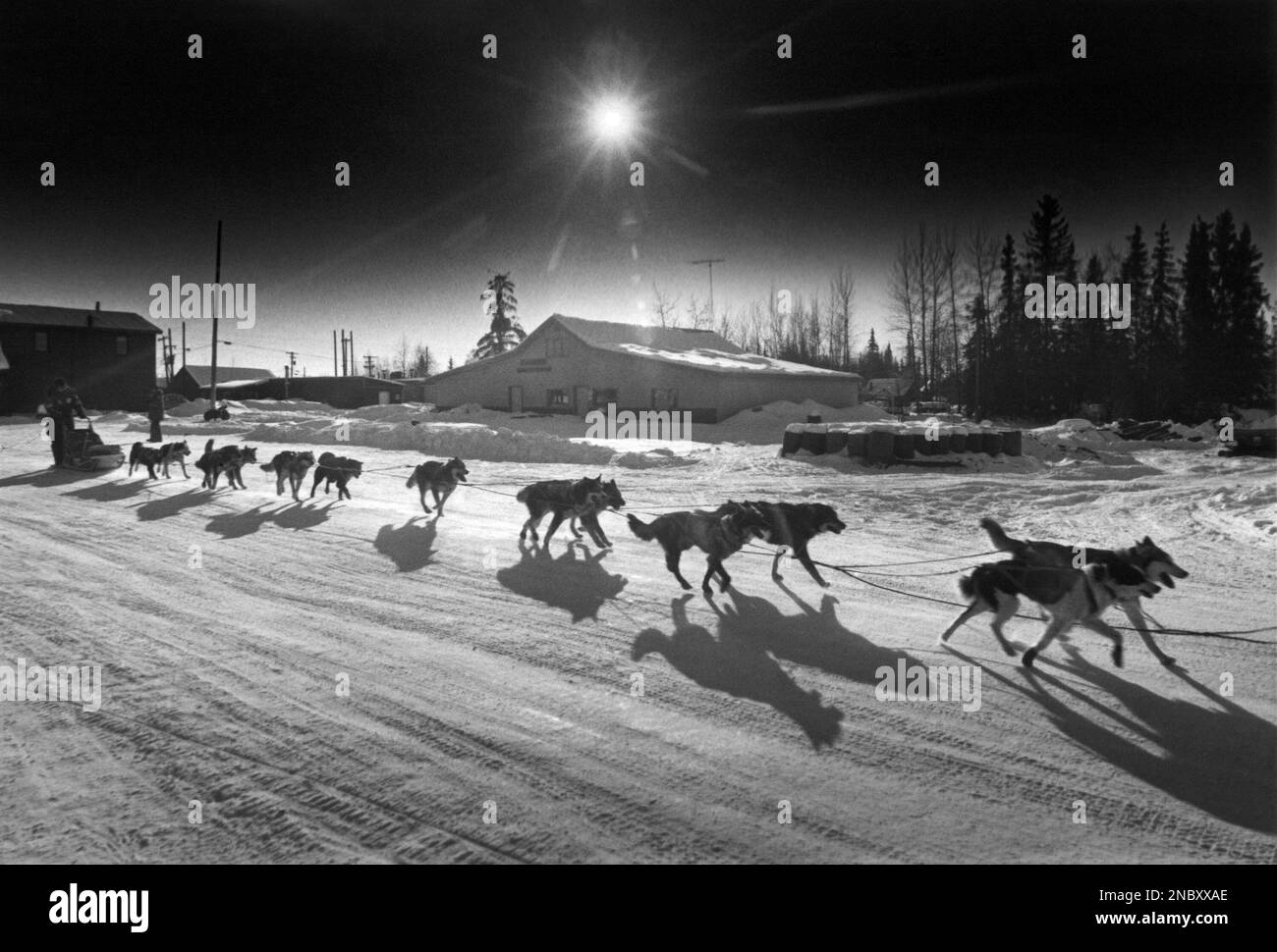 Last year’s winner and veteran dog musher Susan Butcher pulls into this ...