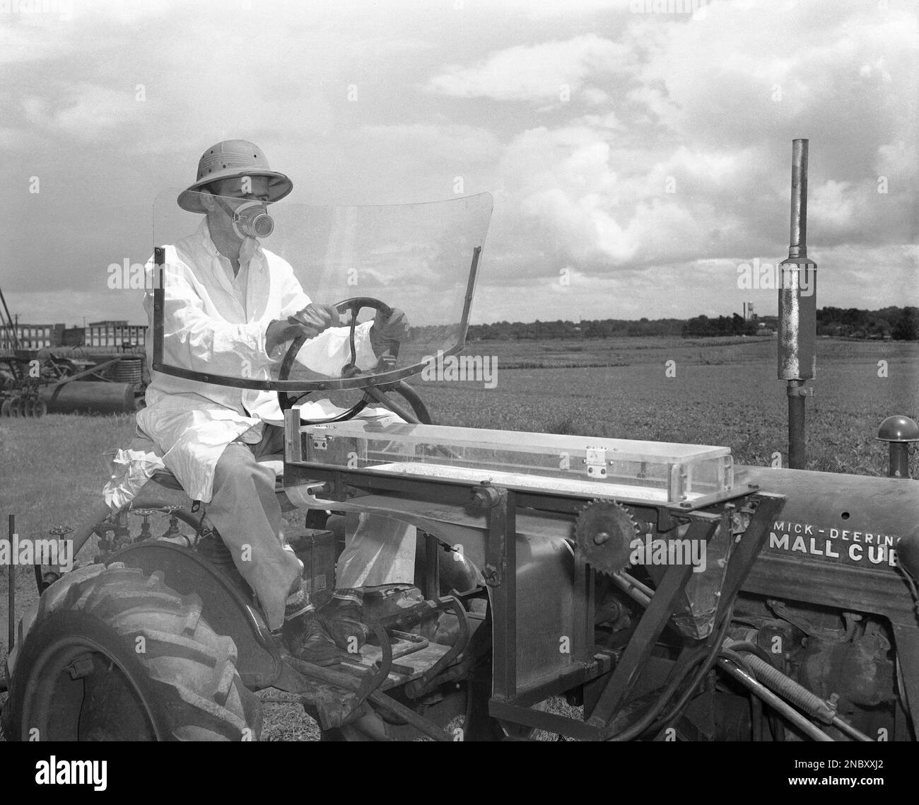 Atomic energy, used in experimental farming, bring this strange sight ...