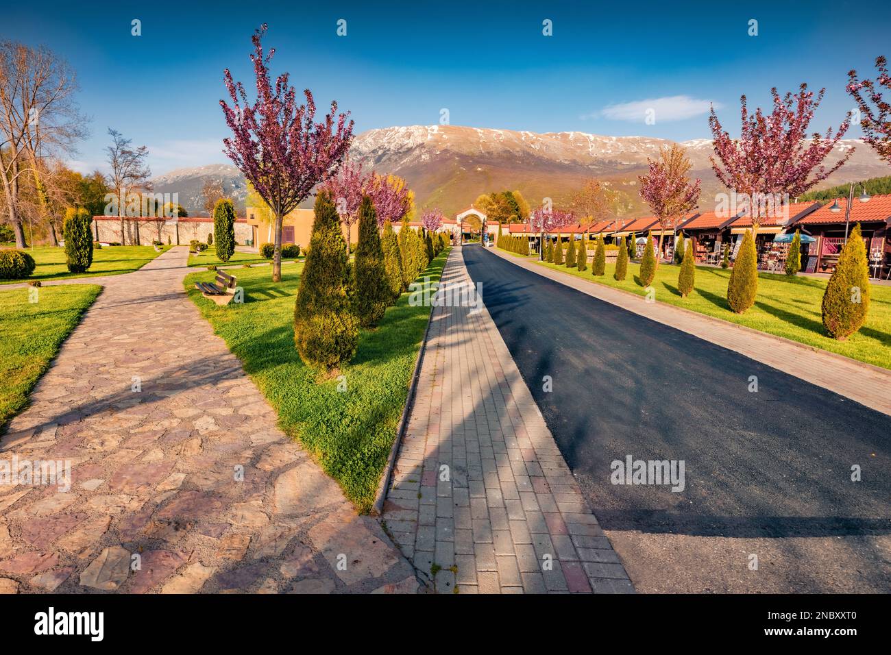 Blooming cherry trees in garden of St. Naum Monastery on the shore of ...