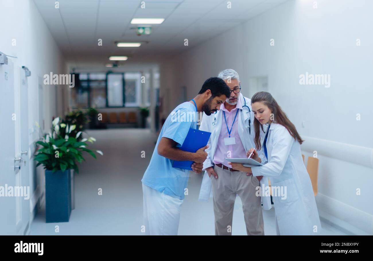 Team of doctors discussing something at hospital corridor Stock Photo ...