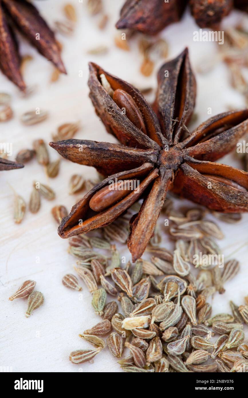 Aniseed plant hi-res stock photography and images - Alamy