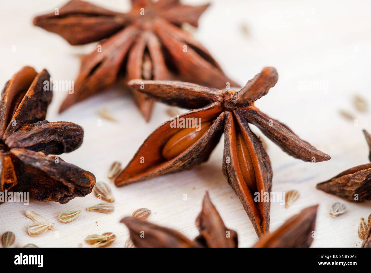 Aniseed plant hi-res stock photography and images - Alamy