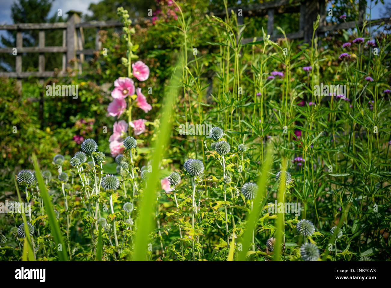 Peggy Davies' garden at Five Oaks in West Sussex, England, UK Stock ...