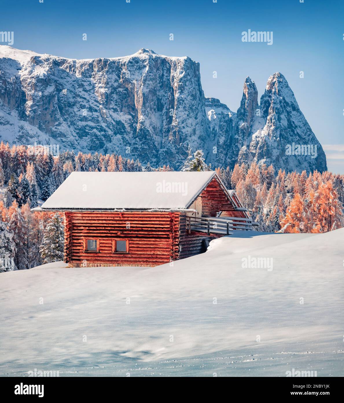 Untouched winter landscape bright hi-res stock photography and images ...