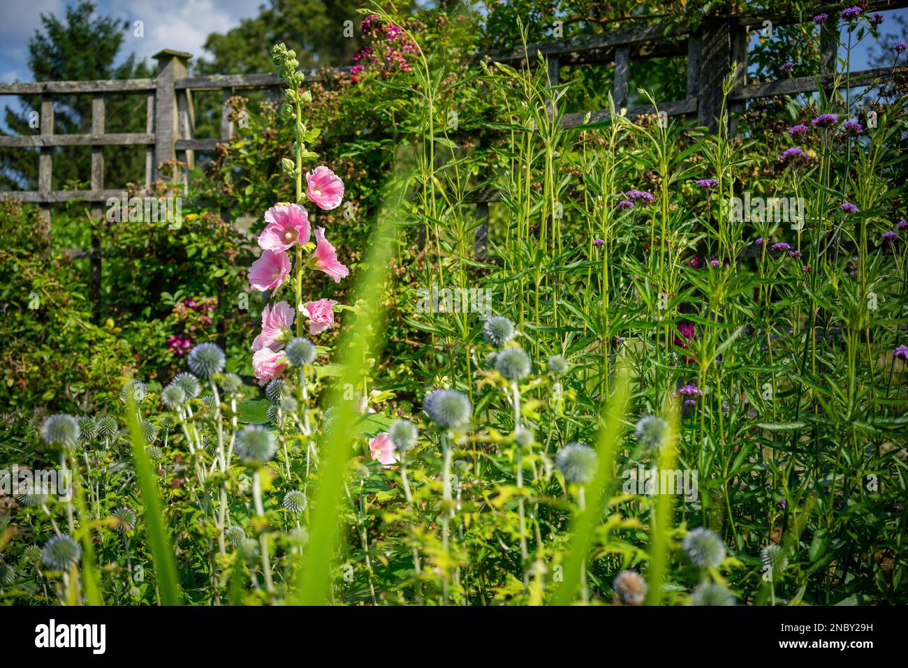 Peggy Davies' garden at Five Oaks in West Sussex, England, UK Stock ...