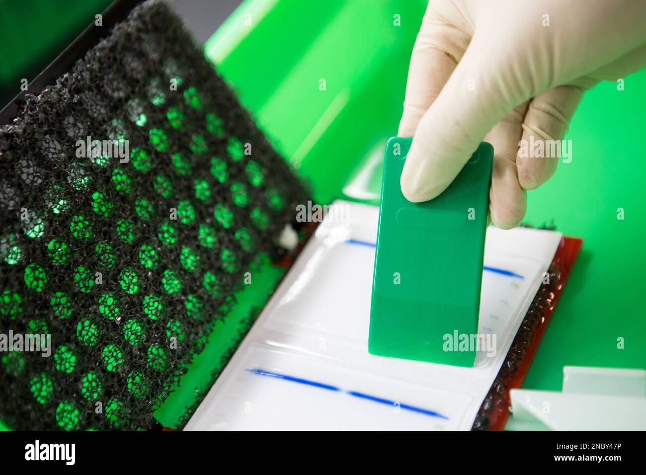 Western blot analysis use as protein analysis for protein detection ...
