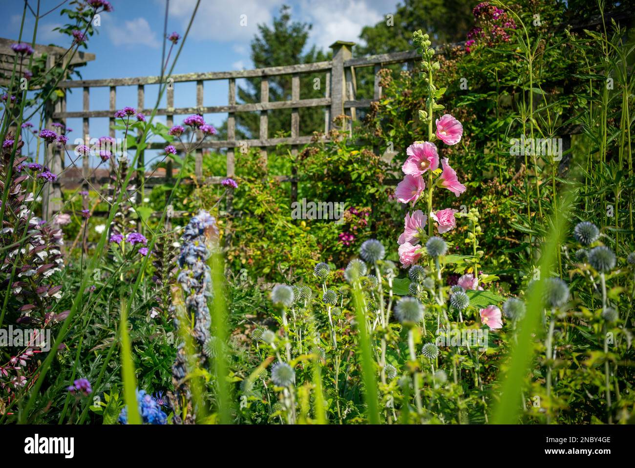Peggy Davies' garden at Five Oaks in West Sussex, England, UK Stock ...