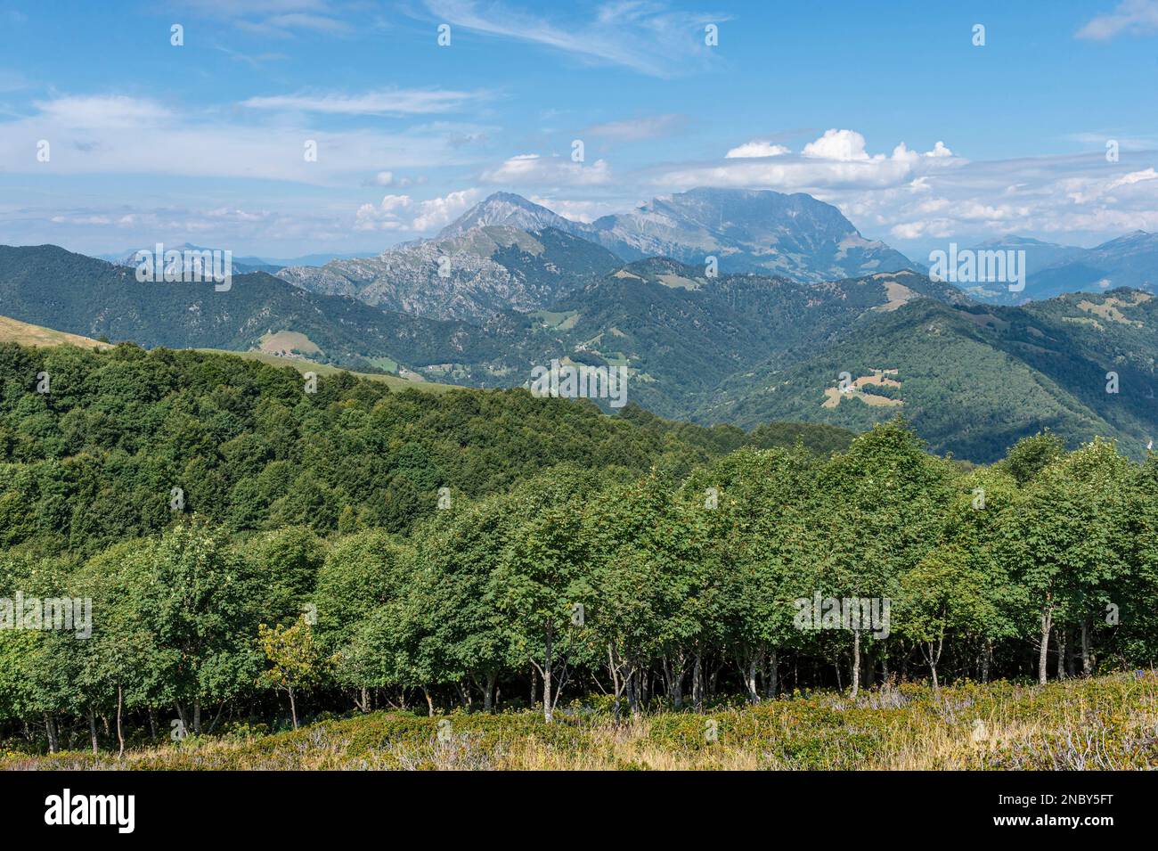 Grigne mountains hi-res stock photography and images - Alamy