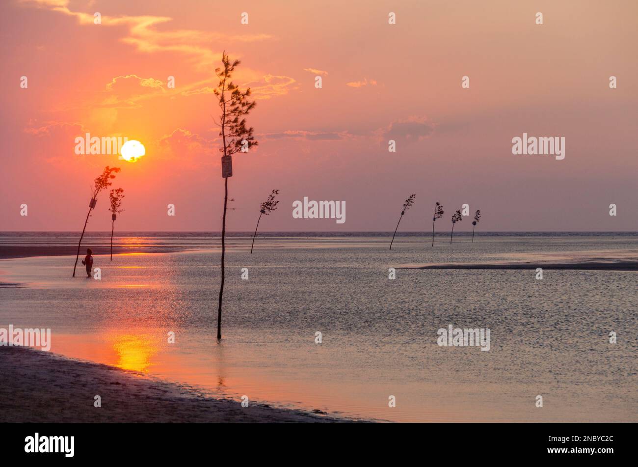 Sunset. Rock Harbor. Rock Harbor Marker Trees. Orleans, Massachusetts ...
