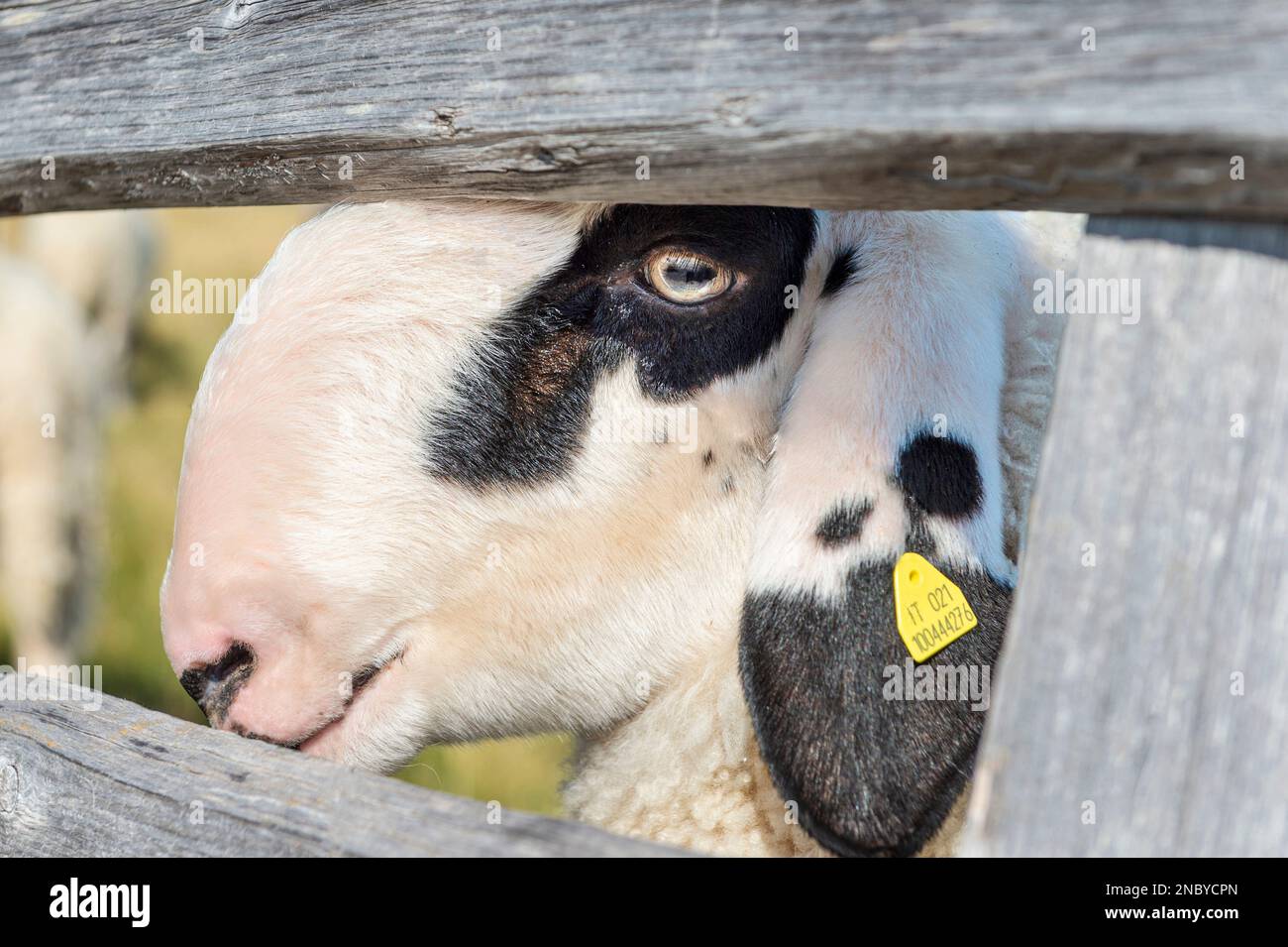 Villander alp hi-res stock photography and images - Alamy