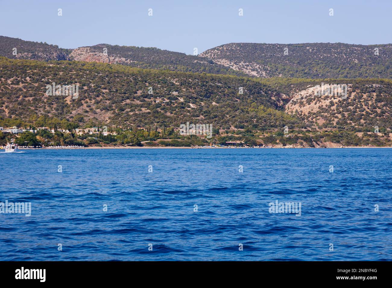 Akamas National Forest on Akamas Peninsula in Cyprus island country ...