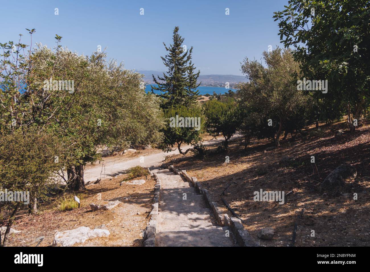 Botanical Garden Baths of Aphrodite in Akamas National Forest on the ...