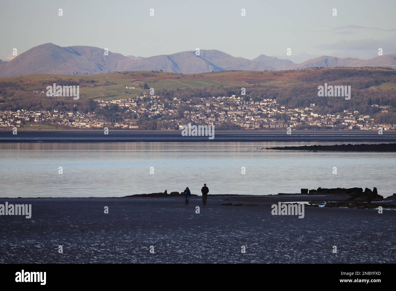 Morecambe eden project hi-res stock photography and images - Alamy