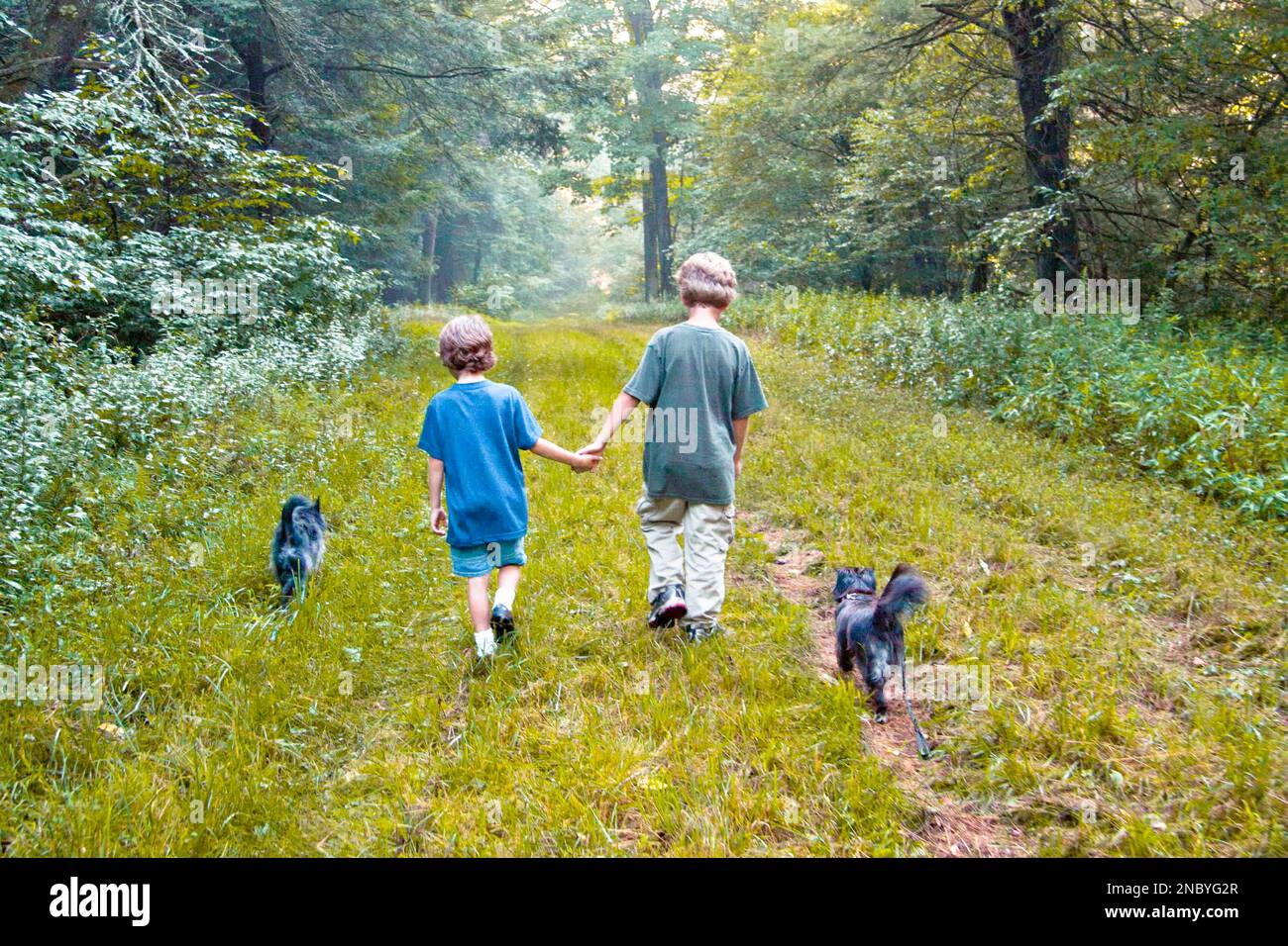 2 Two young Boy Cousins walk through the forest with their dogs on a ...