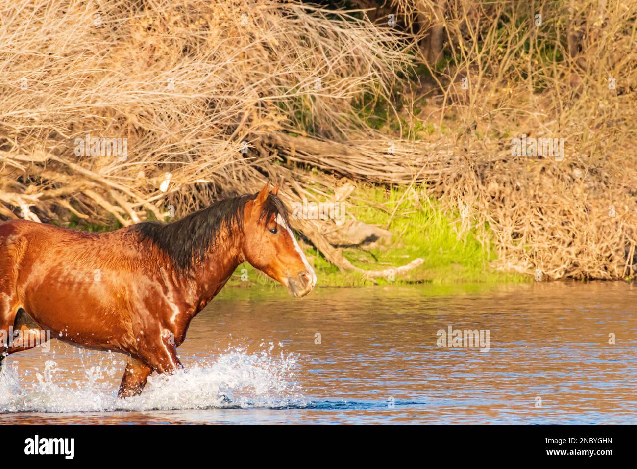 Running Down The River Stock Photo - Alamy