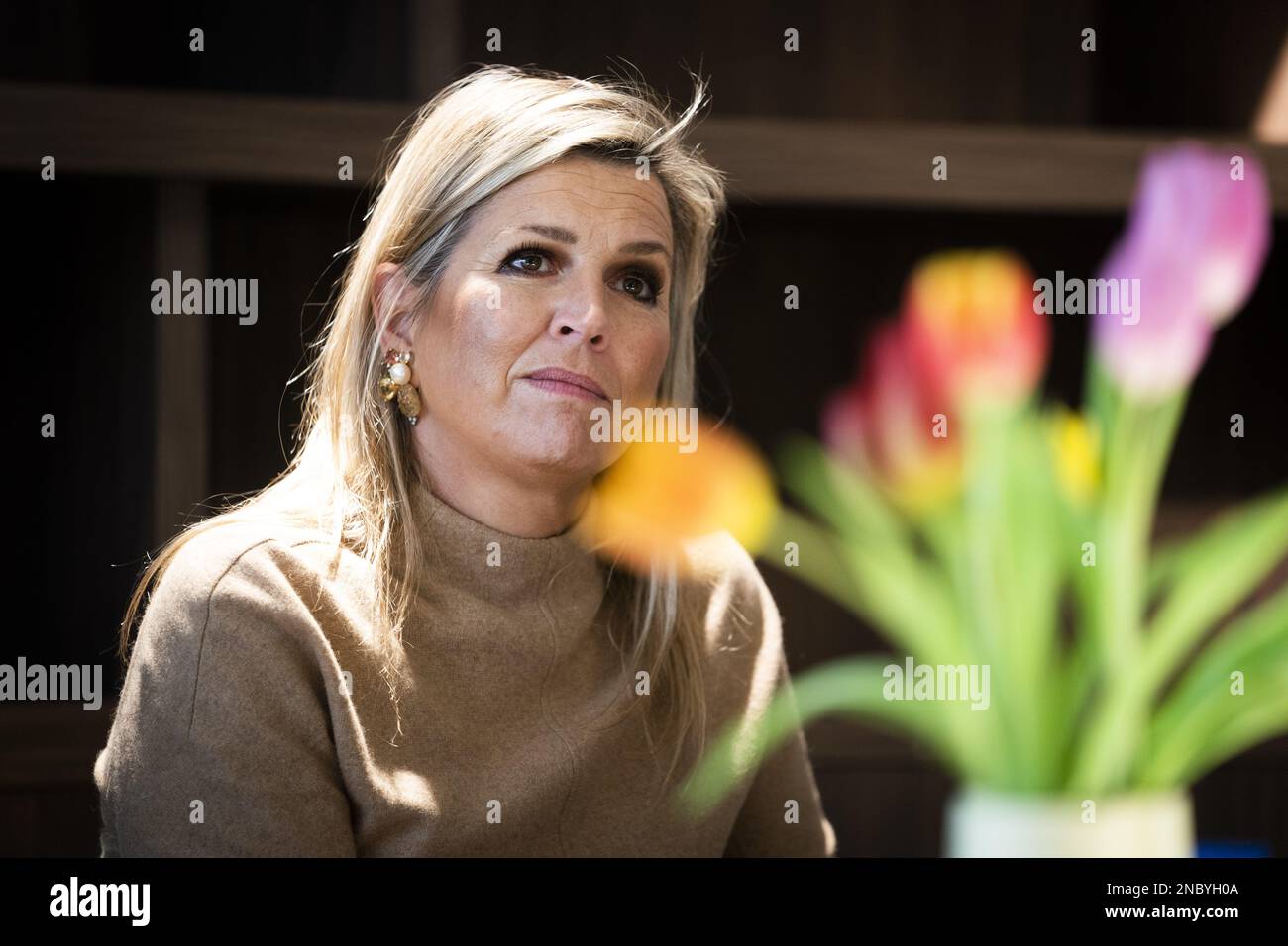 Hare institute hi-res stock photography and images - Alamy