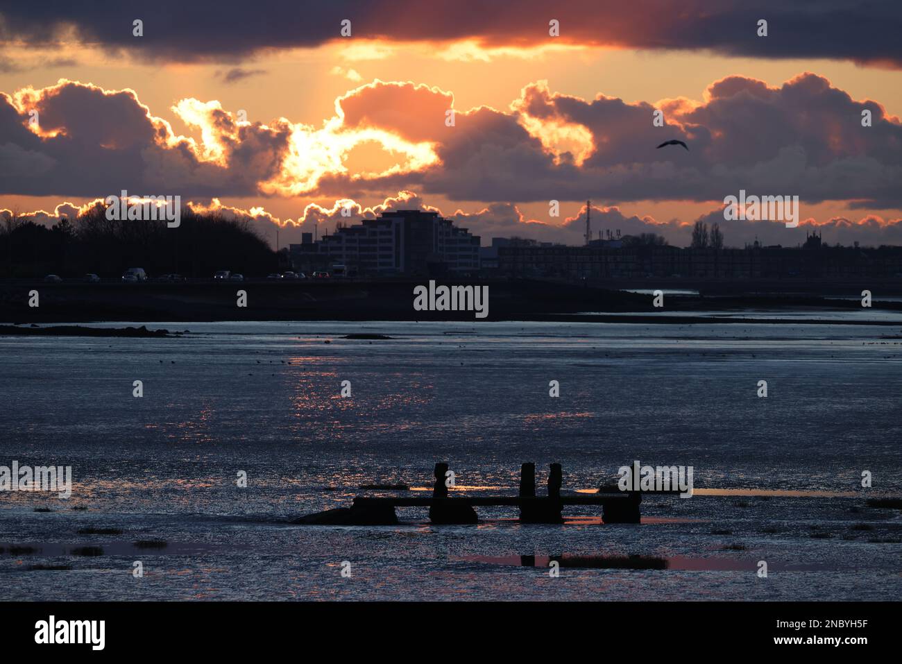 Eden project winter hi-res stock photography and images - Alamy