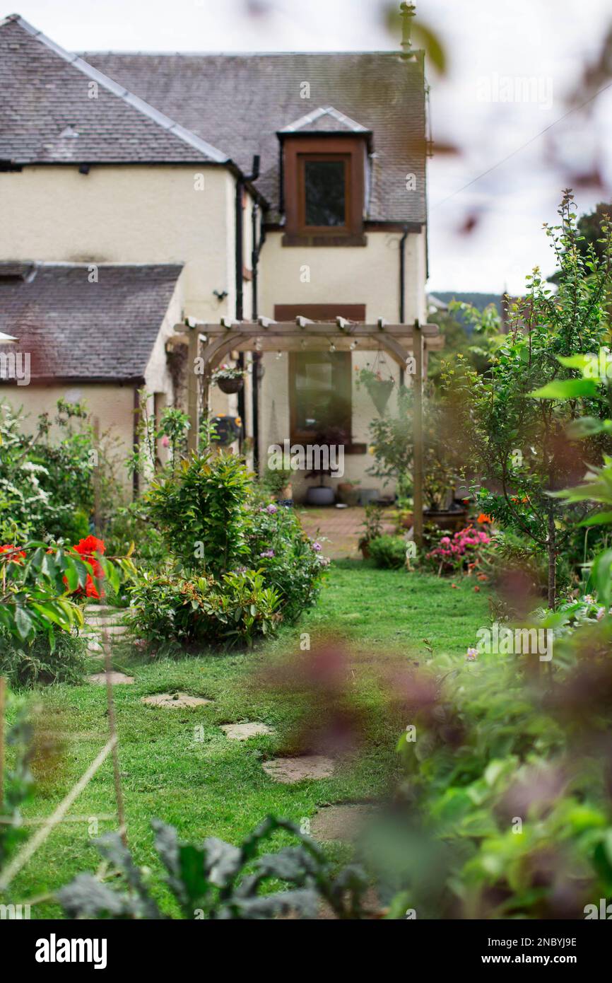 Neighbours garden plants hi-res stock photography and images - Alamy
