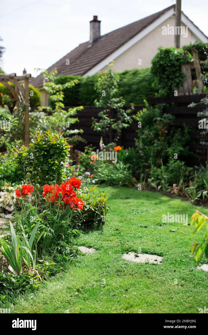 Garden Plant Border Stock Photo - Alamy