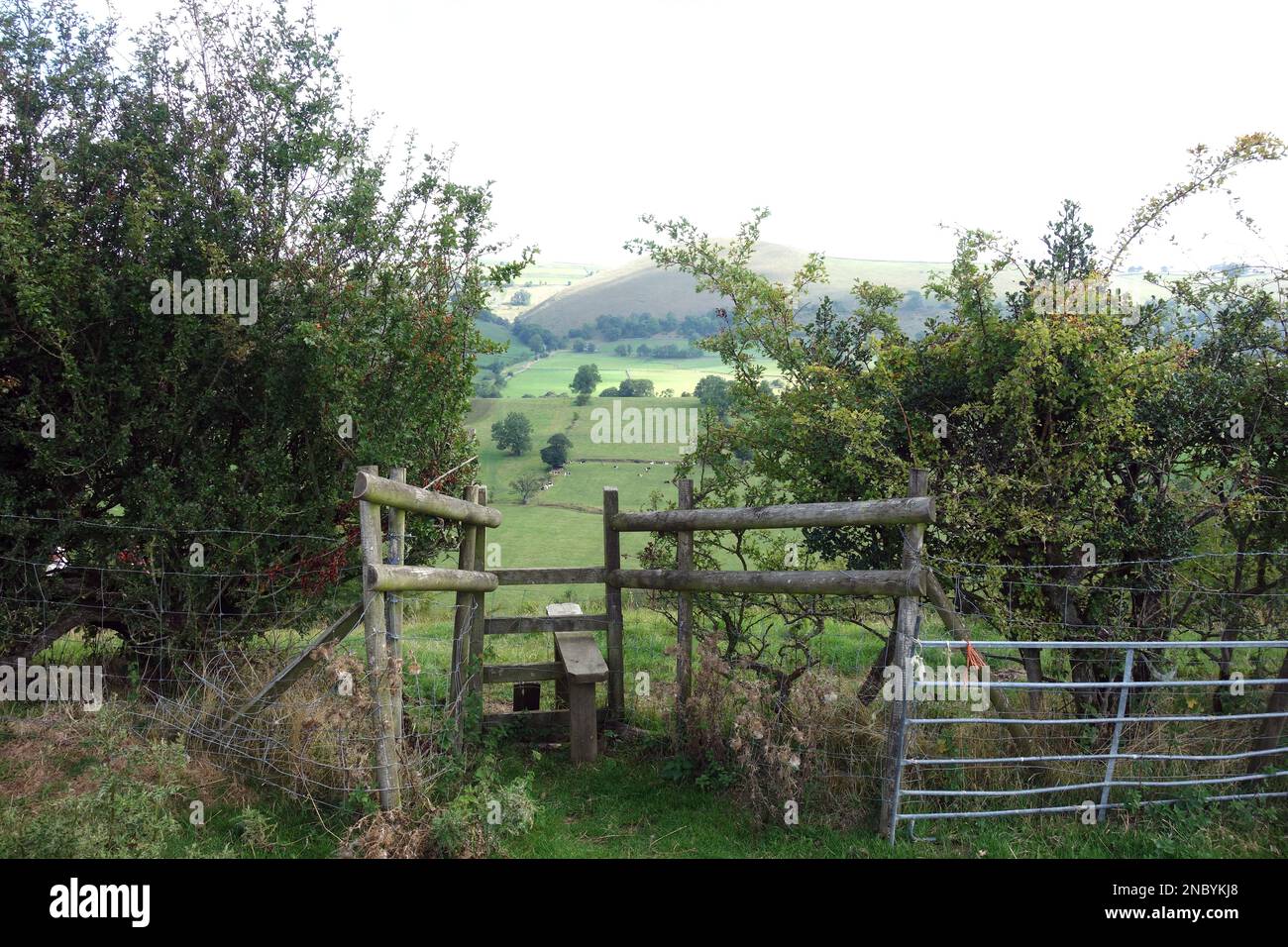 Wooden Step Over Stile in a Hedge in the Dove Valley, Peak District ...