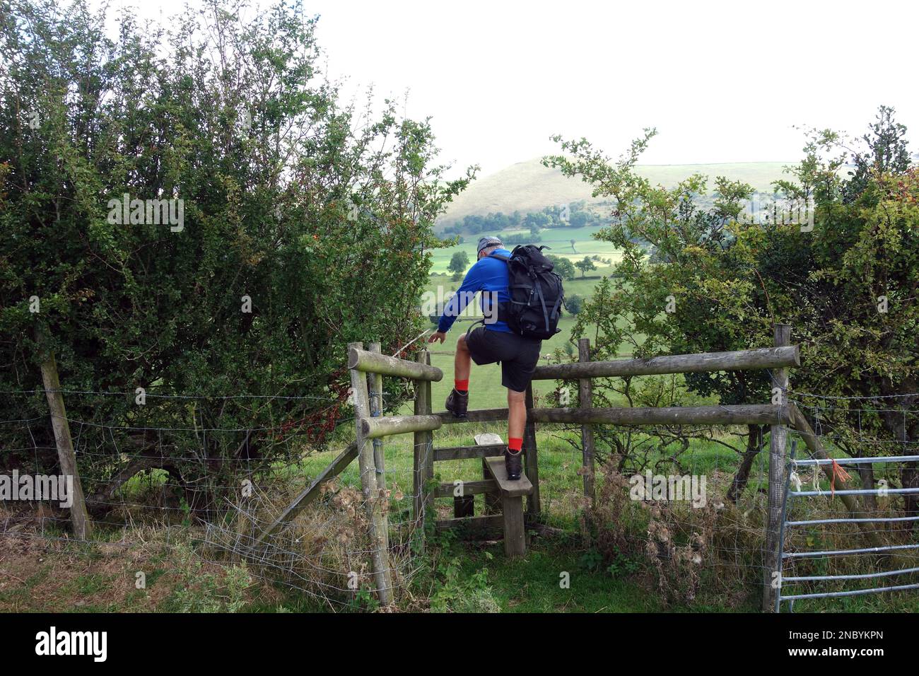 Man Climbing over Wooden Step Over Stile in a Hedge in the Dove Valley ...
