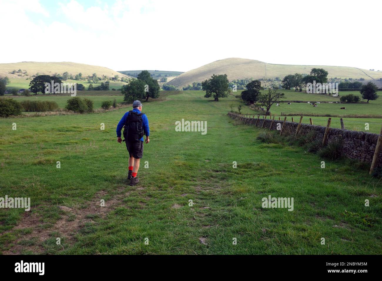 Man (Hiker) Walking on Path in Farmland by Stone Wall to Beggars Bridge ...