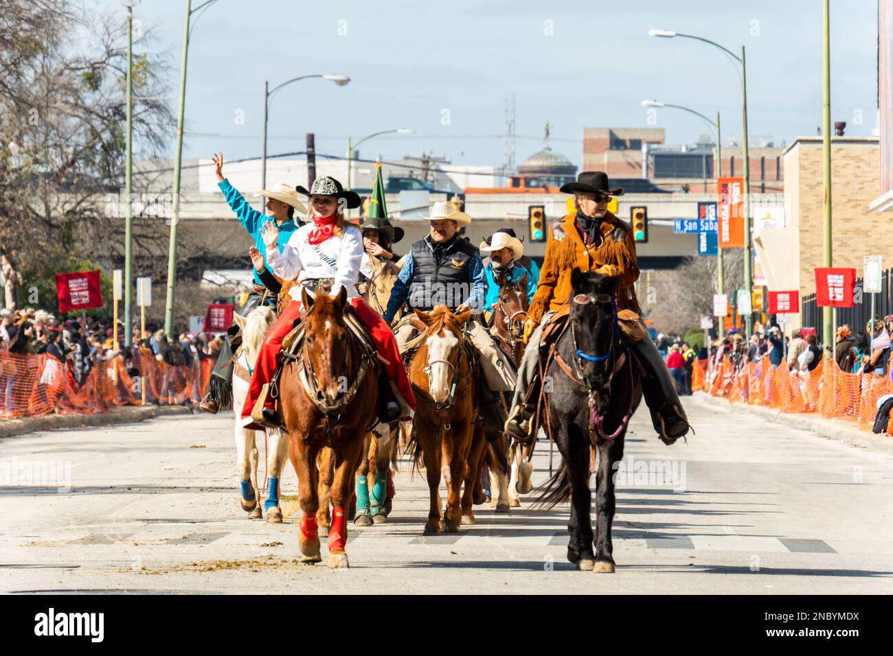 a texas longhorn cattle drive parade in downtown San Antonio Stock ...