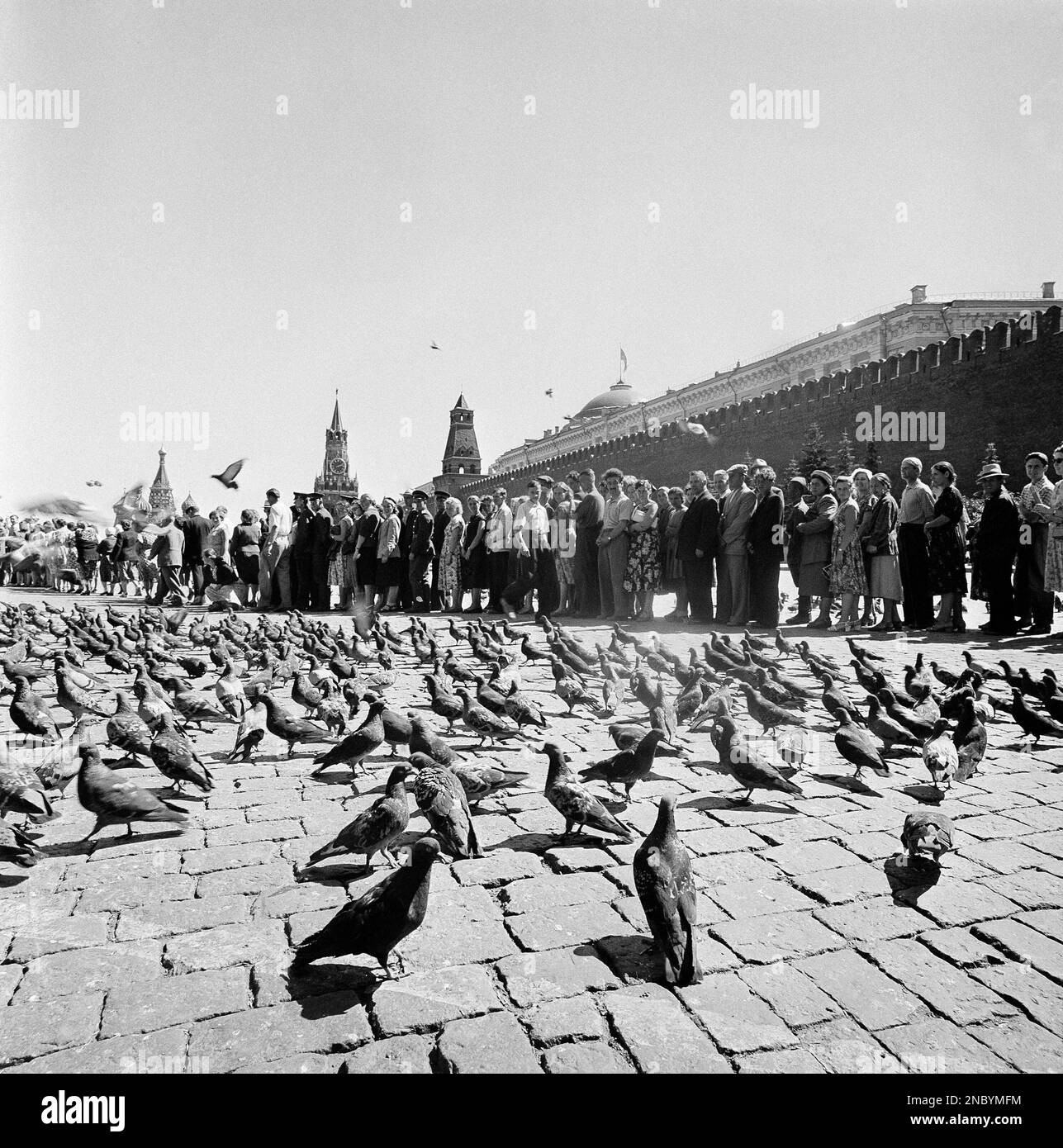 Surrounded by pigeons, people stand in line waiting to get into the ...