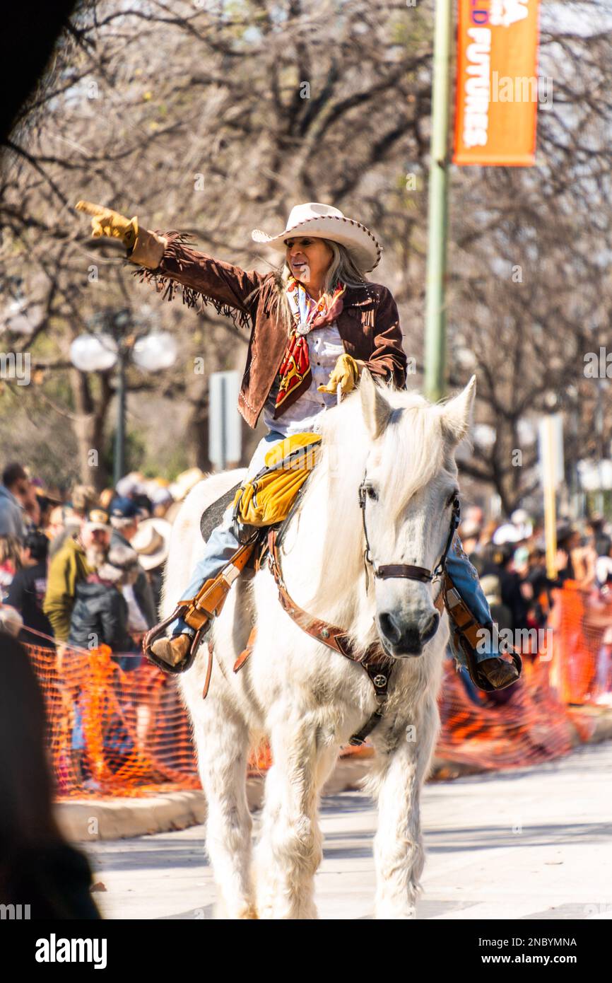 a texas longhorn cattle drive parade in downtown San Antonio Stock ...