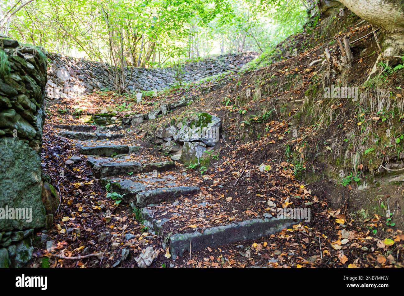 Mule track hi-res stock photography and images - Alamy