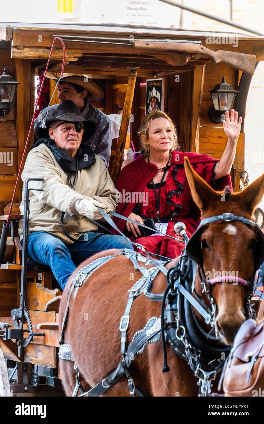 a texas longhorn cattle drive parade in downtown San Antonio Stock ...