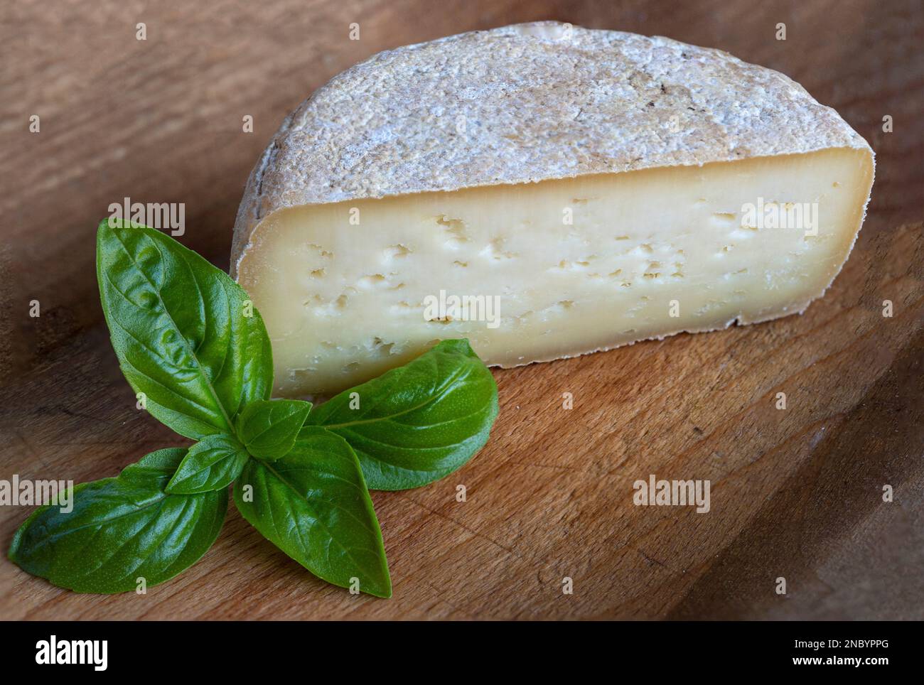 goat cheese at the alpe seccio, boccioleto, italy Stock Photo - Alamy