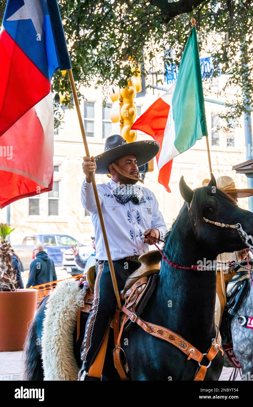 a texas longhorn cattle drive parade in downtown San Antonio Stock ...